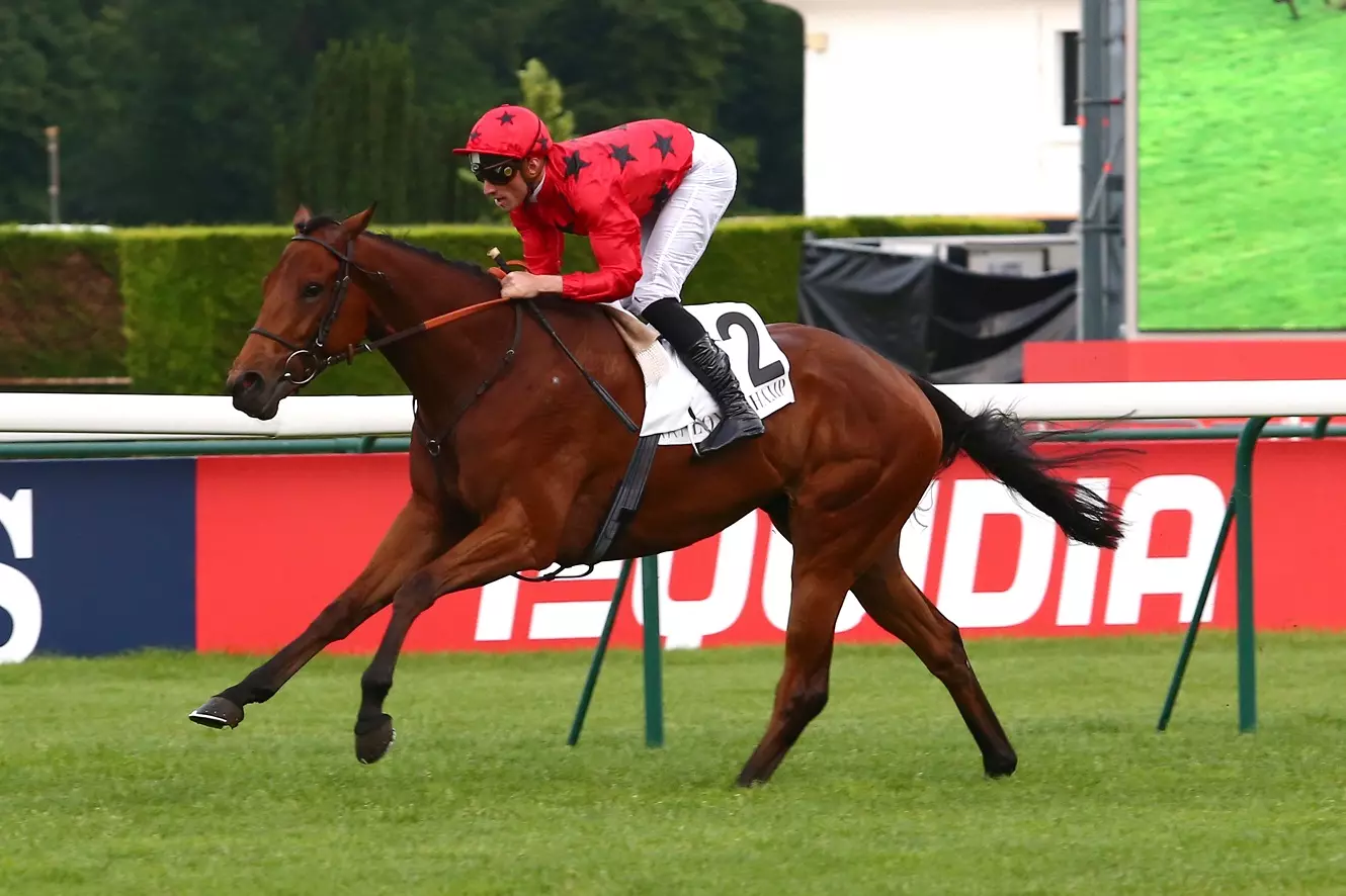 Jeudi à ParisLongchamp (R1C6) : Obelos impressionnant ! | Equidia