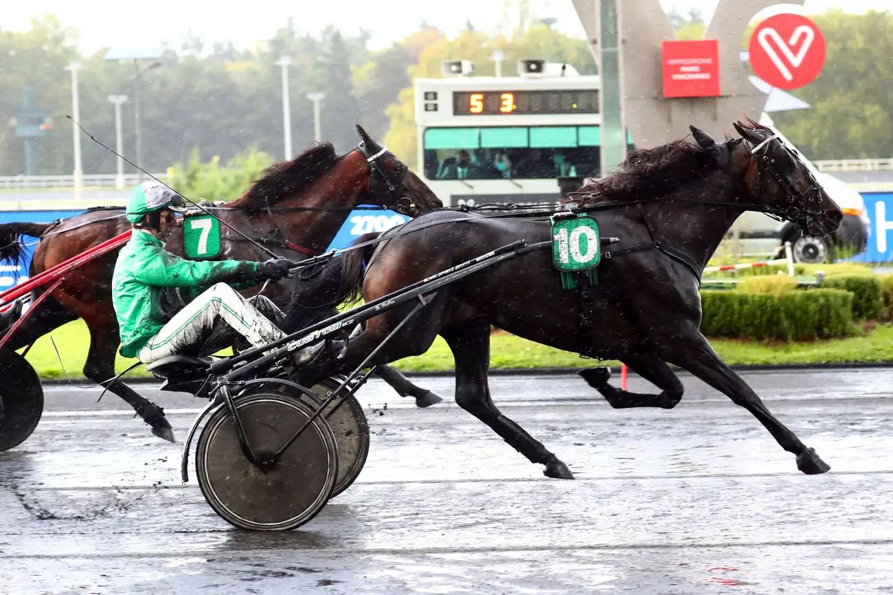 Quinté+: Hussard du Landret tient son statut dans le Quinté+ de ce ...