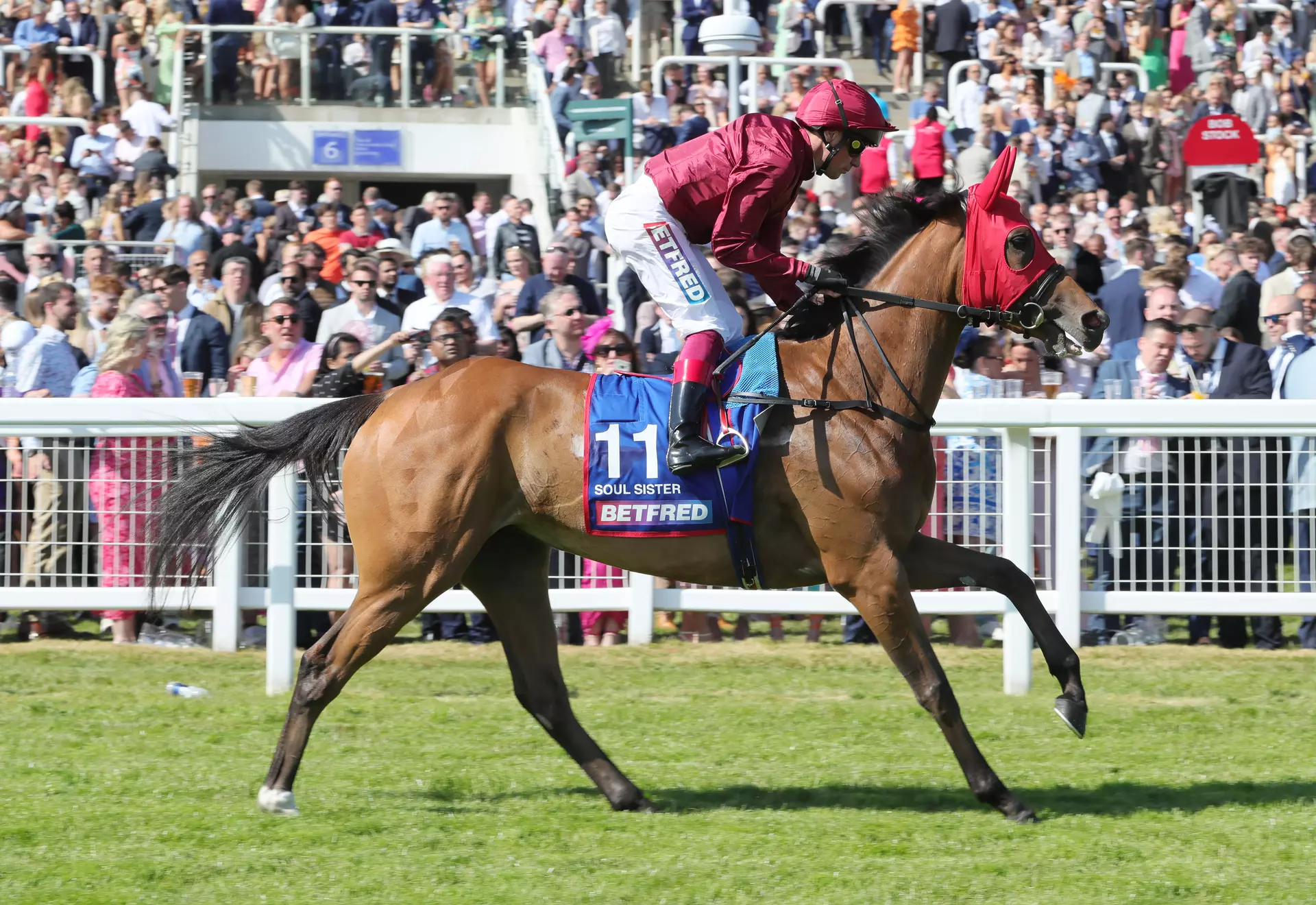 Les conseils de jeu de Michael Cardine pour le Grand Prix de Paris ...