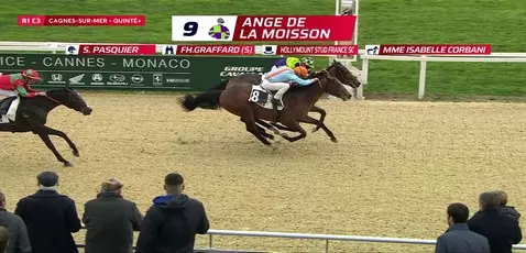 Quinté+: PRIX DE CANNES - CAGNES-SUR-MER - 17/01/2024 : partants, pronostics et résultats en ...