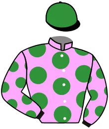 Quinté+: PRIX AUGUSTE DE CASTELBAJAC - PAU - 08/01/2025 : partants ...