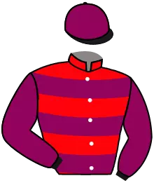 SANAH | Résultats, palmarès et actualités en vidéo - Fiche cheval | Equidia