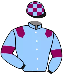 CLAVIS AUREA | Résultats, palmarès et actualités en vidéo - Fiche cheval | Equidia