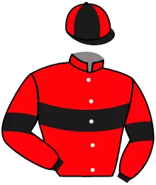 BUZZPOWER | Résultats, palmarès et actualités en vidéo - Fiche cheval ...