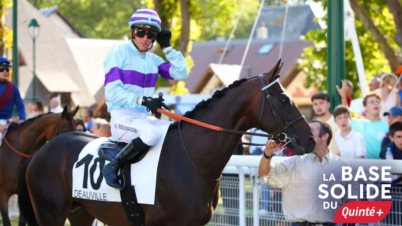 Quinté+: Quartz du Houley, la base solide du Quinté+ de ce jeudi 31 ...