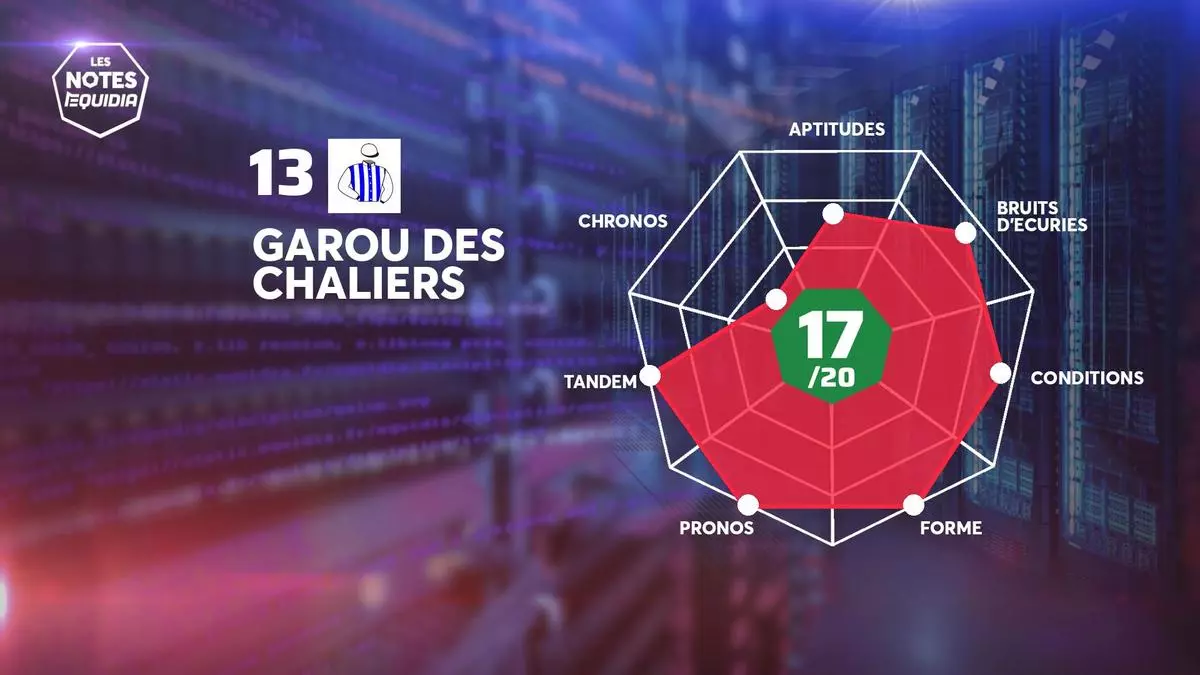 Quinté+: La Note des partants du Quinté+ de ce vendredi 18 août à ...
