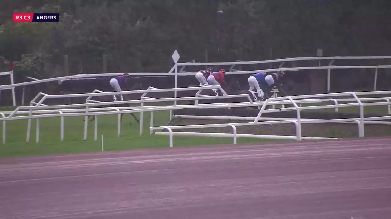 PRIX LUNA WELLS - ANGERS EVENTARD - 27/10/2023 : partants, pronostics ...