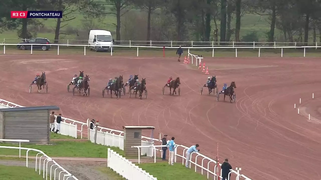 PRIX PMU "L'ESCALE" STE-ANNE-SUR-BRIVET - PONTCHATEAU - 08/03/2024 ...