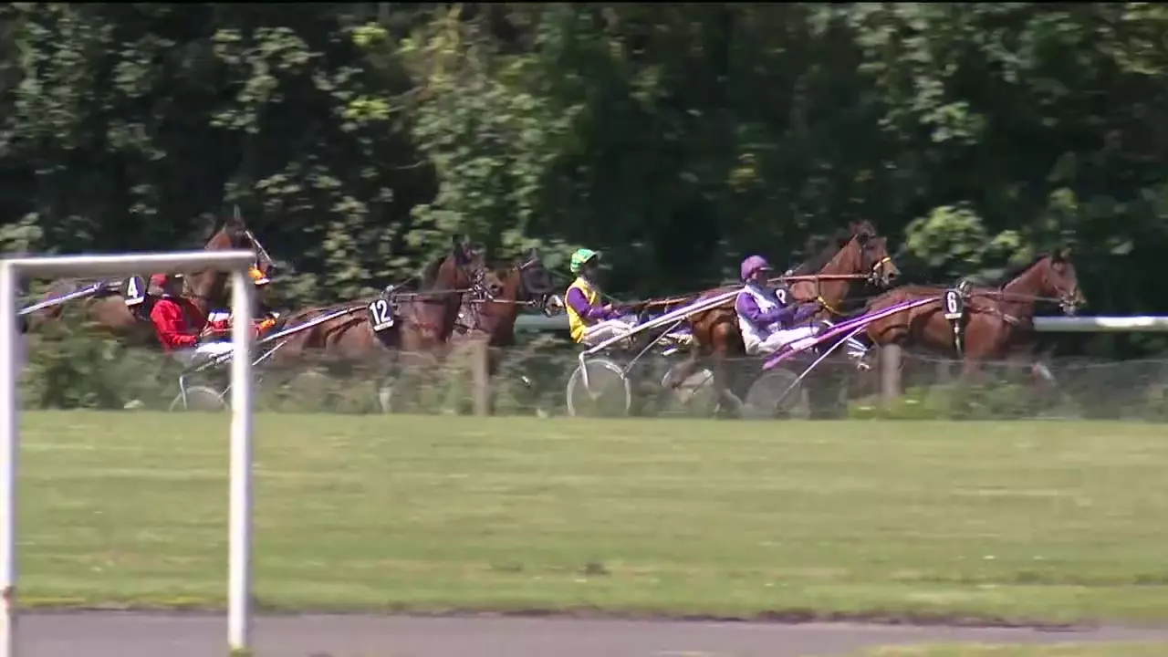 PRIX EVERJET - ETAPLES - ARRAS - 09/06/2024 : partants, pronostics et ...