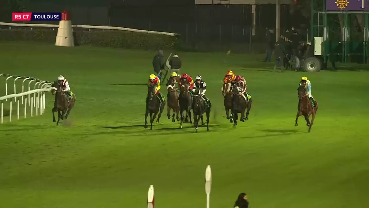 PRIX JEAN-JACQUES PIQUET - TOULOUSE - 17/11/2024 : partants, pronostics ...