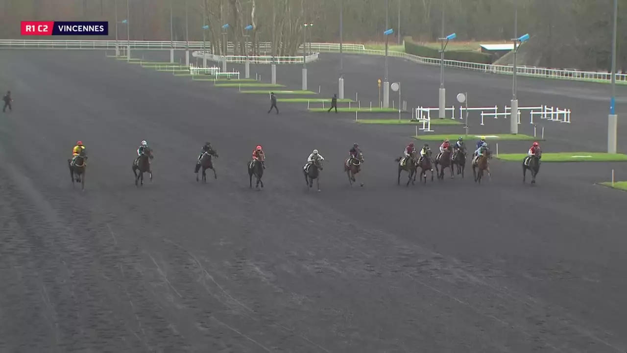 PRIX DE LIMAY - PARIS-VINCENNES - 21/12/2024 : partants, pronostics et ...