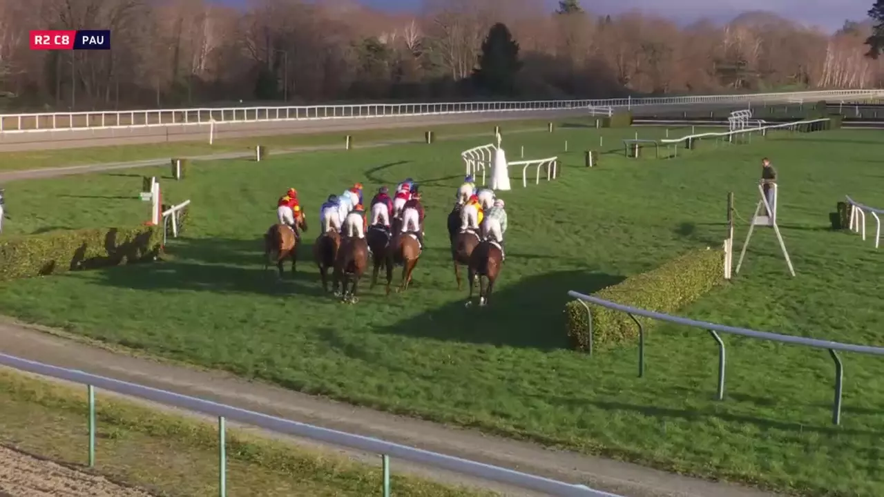 PRIX FERNAND ROY - PAU - 25/12/2024 : partants, pronostics et résultats ...