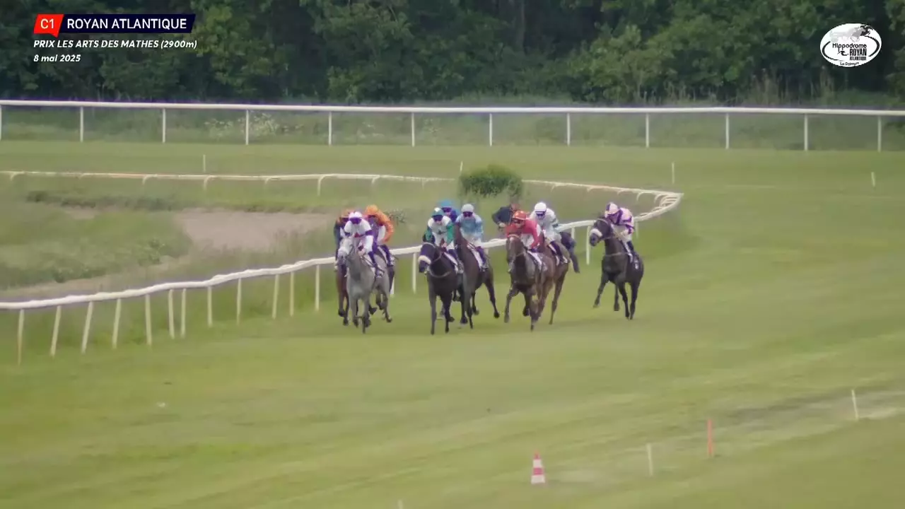 PRIX LES ARTS DES MATHES - ROYAN-LA PALMYRE - 08/05/2025 : partants ...