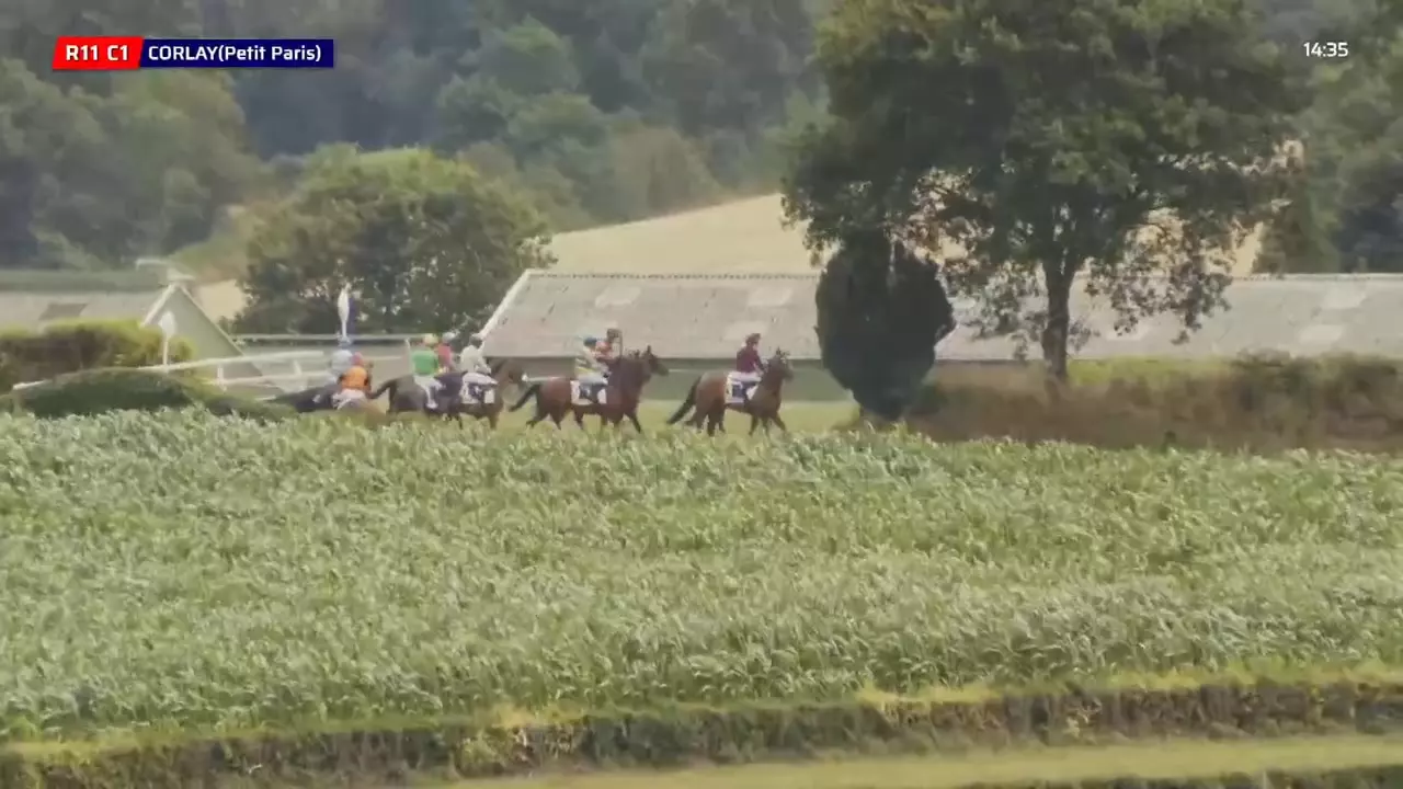 PRIX YVES LE MOIGNE - CORLAY(Petit Paris) - 14/07/2025 : partants ...