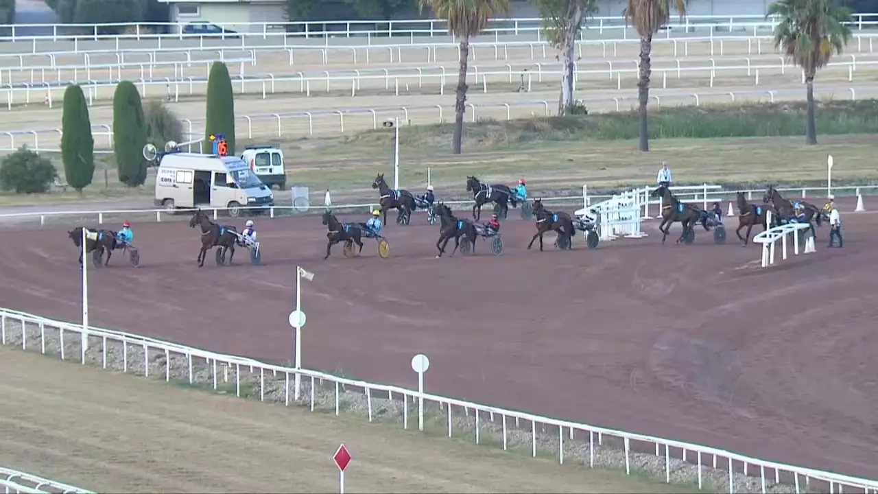 PRIX RACE AND CARE (PX CROIX DES GARDES) - CAGNES-SUR-MER - 02/08/2025 ...