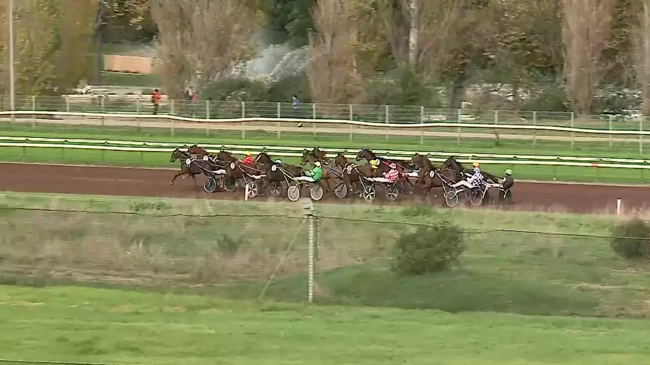 PRIX DE FONBLANQUE - MARSEILLE-BORELY - 08/11/2025 : partants ...