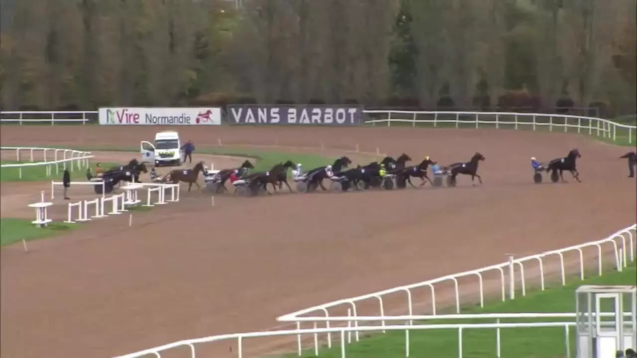 PRIX RACE AND CARE (GR A) - VIRE - 09/11/2025 : partants, pronostics et ...