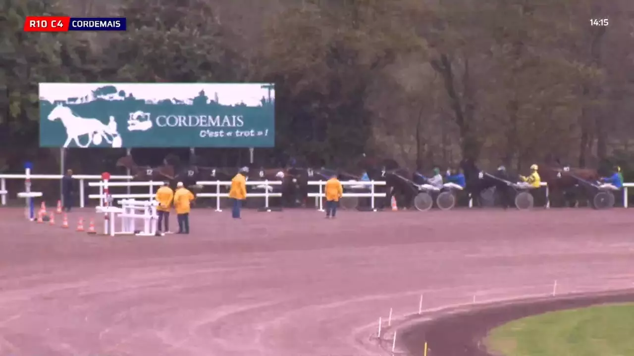 PRIX RACE AND CARE (GR B) - CORDEMAIS - 23/11/2025 : partants ...