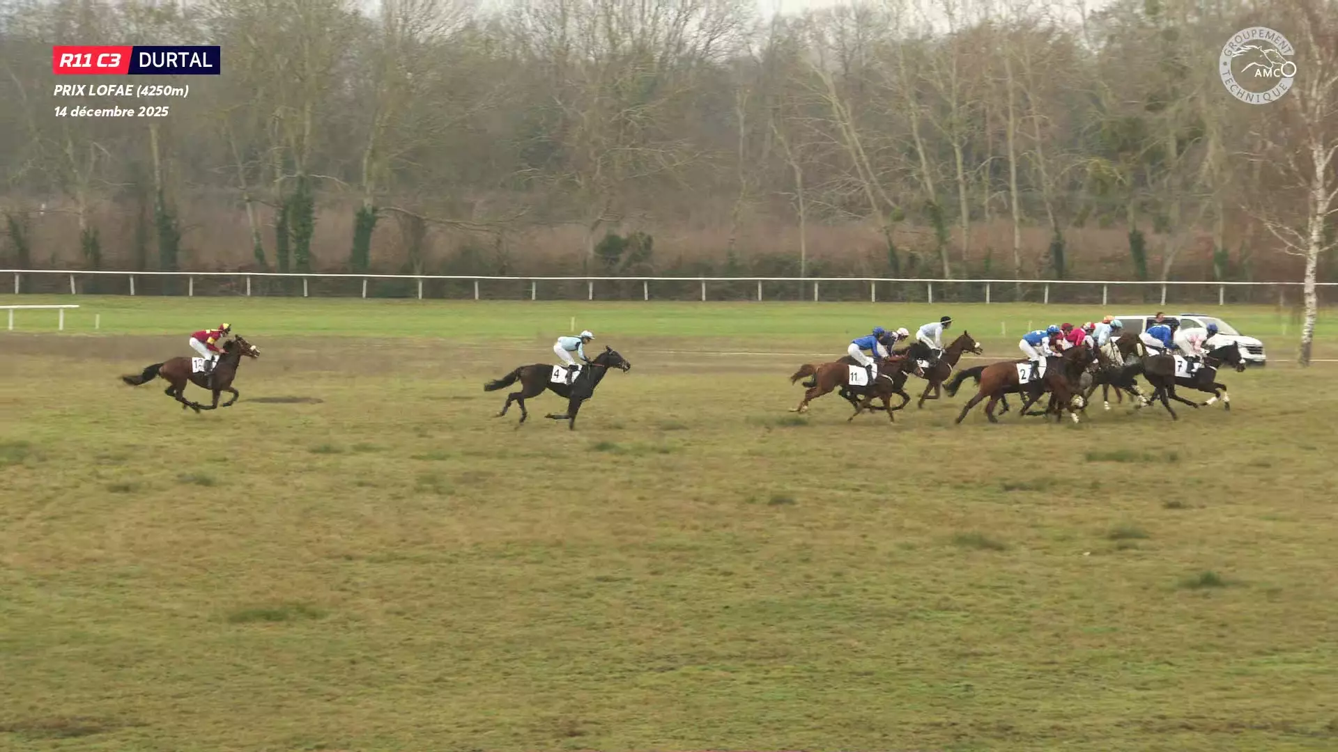 PRIX LOFAE (PRIX CLAUDE PELLERIN) - DURTAL(La Carrière) - 14/12/2025 ...