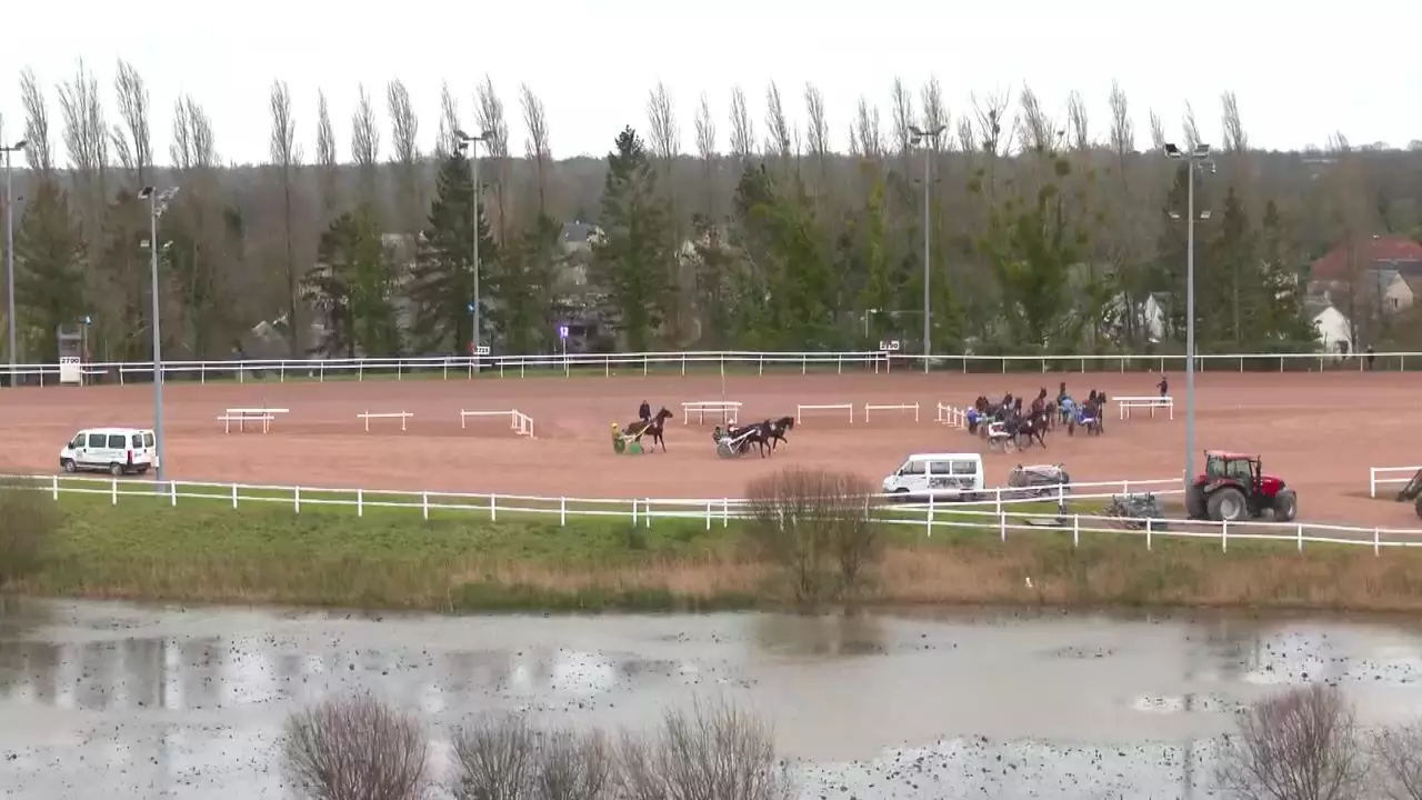 PRIX ROBERT MARC - GRAIGNES - 11/01/2026 : partants, pronostics et ...