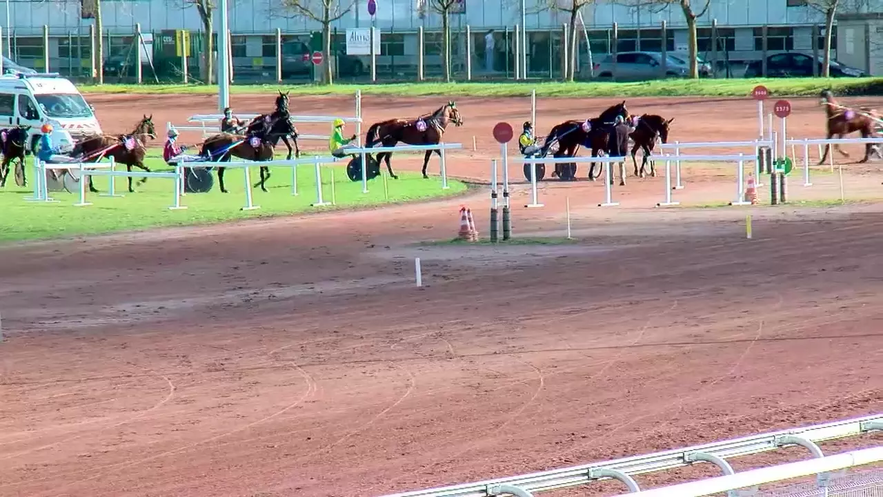 PRIX SAS PRIMAULT - REIMS - 01/03/2026 : partants, pronostics et ...