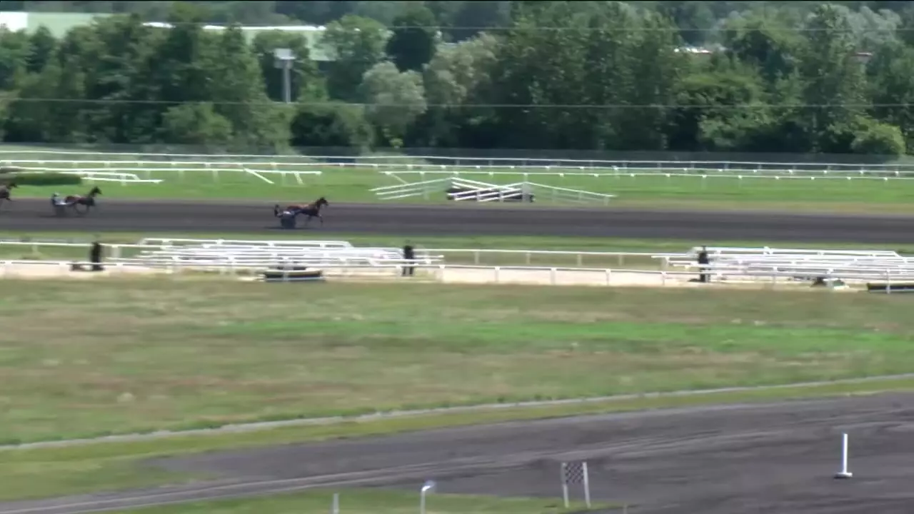 PRIX LOVE-ME-TURF - STRASBOURG - 07/06/2026 : partants, pronostics et ...
