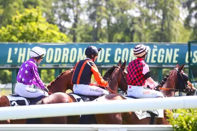 Courses hippiques en direct, en replay, pronostics du Quinté+ et ...