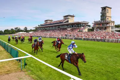 Courses hippiques en direct, en replay, pronostics du Quinté+ et ...