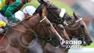Les pronostics des experts | Equidia