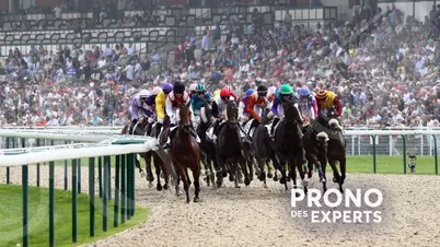 Les Pronostics Des Experts Equidia