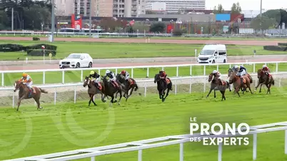 Les pronostics des experts | Equidia