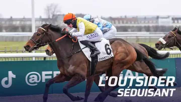 Quinté+: True Tedesco, l'outsider séduisant du Quinté+ du lundi 15 juin ...
