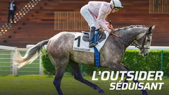 Quinté+: Stormy Donald, l’outsider séduisant du Quinté+ de ce lundi 8 ...