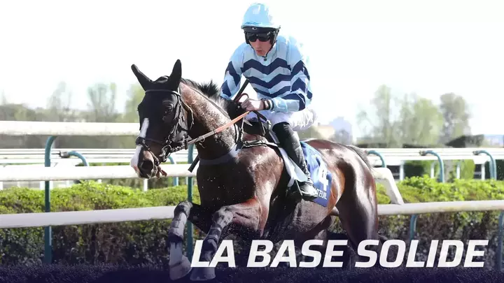 Kolokico, la base solide du Quinté+ du dimanche 17 mai | Equidia