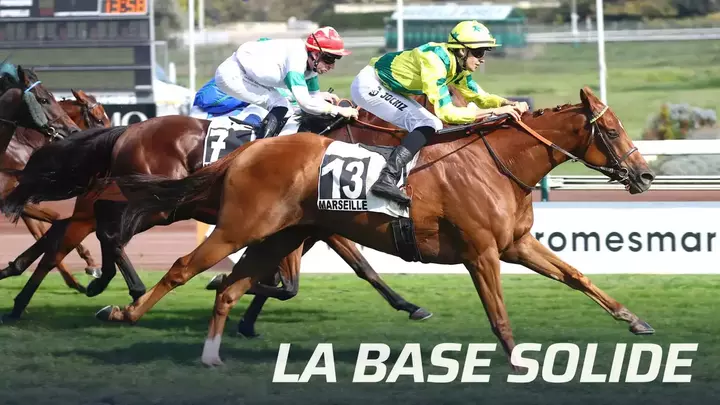 Quinté+: Max Verst, la base solide du Quinté+ du lundi 17 mai | Equidia