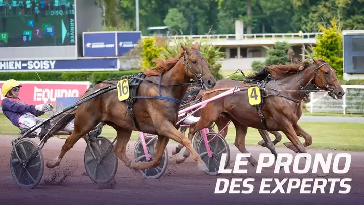 Les pronostics des experts pour la réunion 1 à ENGHIEN ce samedi 13 ...