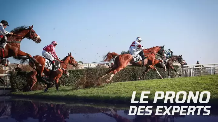 Les pronostics des experts pour la réunion 1 à AUTEUIL ce dimanche 17 ...