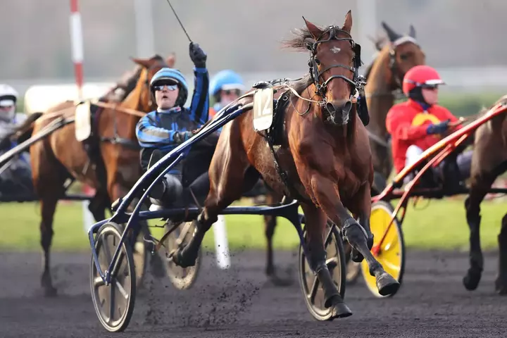Cheval de l'année au trot : Idao évidemment ! | Equidia