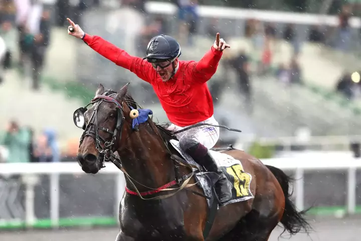 Jeudi à Vincennes : Analyse des partants du Prix Paul Buquet (Gr.II ...