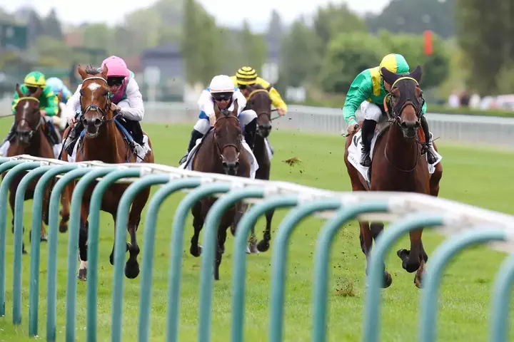 Agenda de la semaine (25 au 31 août) : Clap de fin sur la côte normande ...