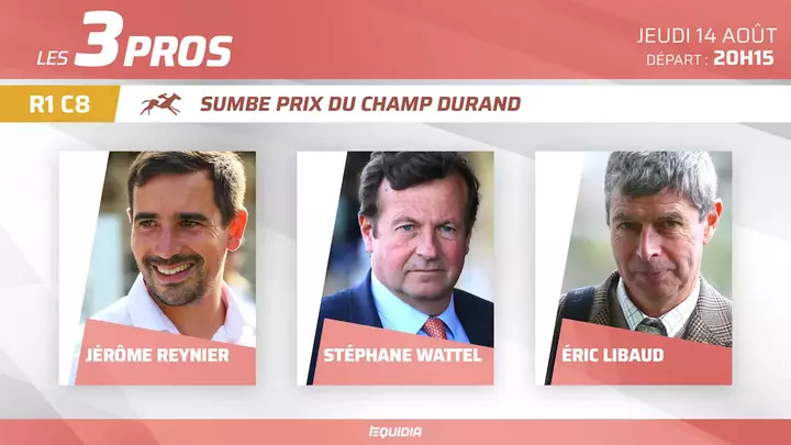 Quinté+: 3 pros analysent leurs chances dans le Quinté+ de ce jeudi 14 ...