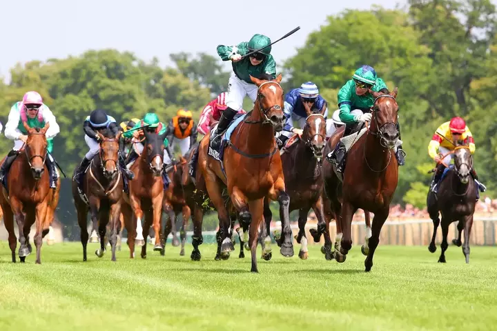 Les chiffres clés de l’édition 2026 du Prix de Diane Longines | Equidia