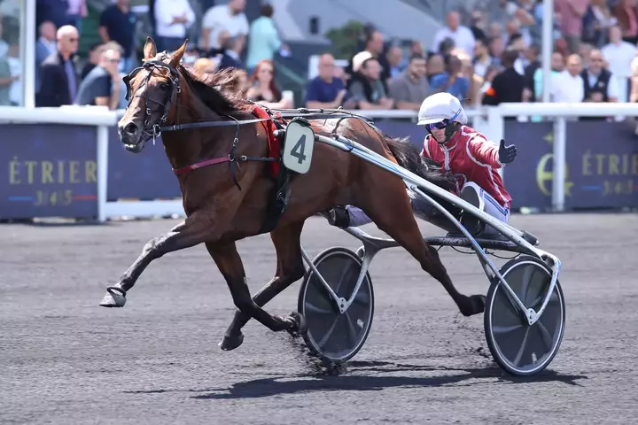 Elitloppet 2026 : Keep Going, cinquième invité français | Equidia