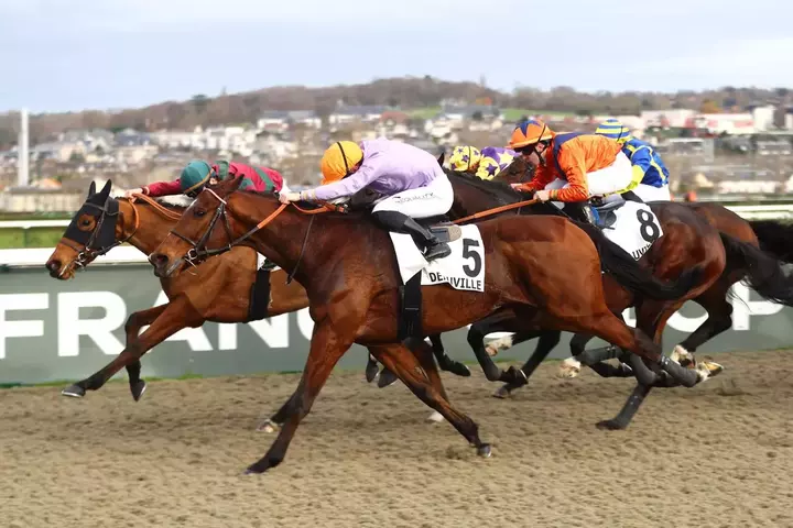 نحوه هجی کردن مقعد