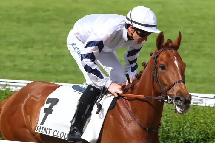 Dimanche à Chantilly - Prix Pawneese Longines (Listed) : Favori ...