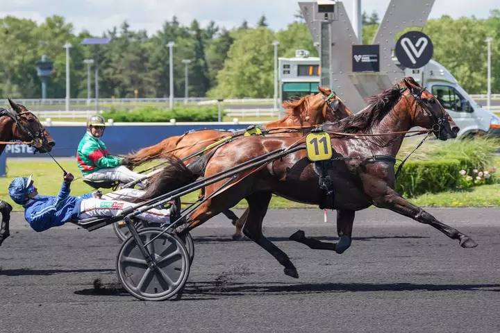 Quinté+: Arrivée et rapports du Quinté+ du samedi 6 juin - Prix Jules ...