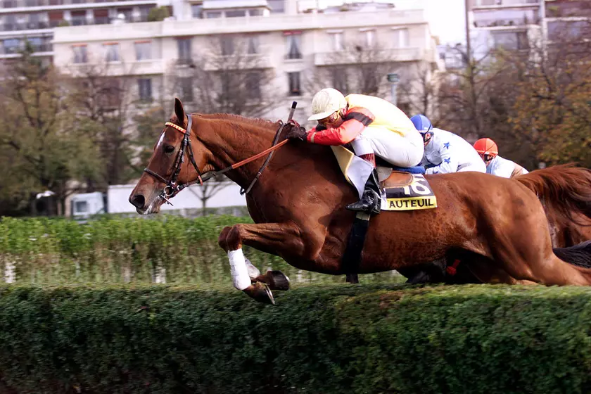 Dans le rétro de... Thierry Berthelot | Equidia