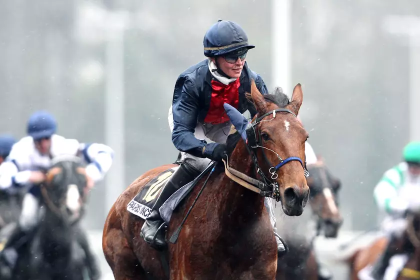 Nathalie Henry " Quand Vision intense prenait le mors, il y avait elle ...