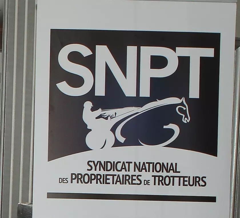 SNPT : retour des propriétaires sur l'hippodrome | Equidia