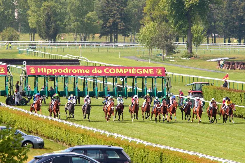 Quinté Le Quinté Du Mardi 9 Juillet Vu Par Les Statistiques Equidia